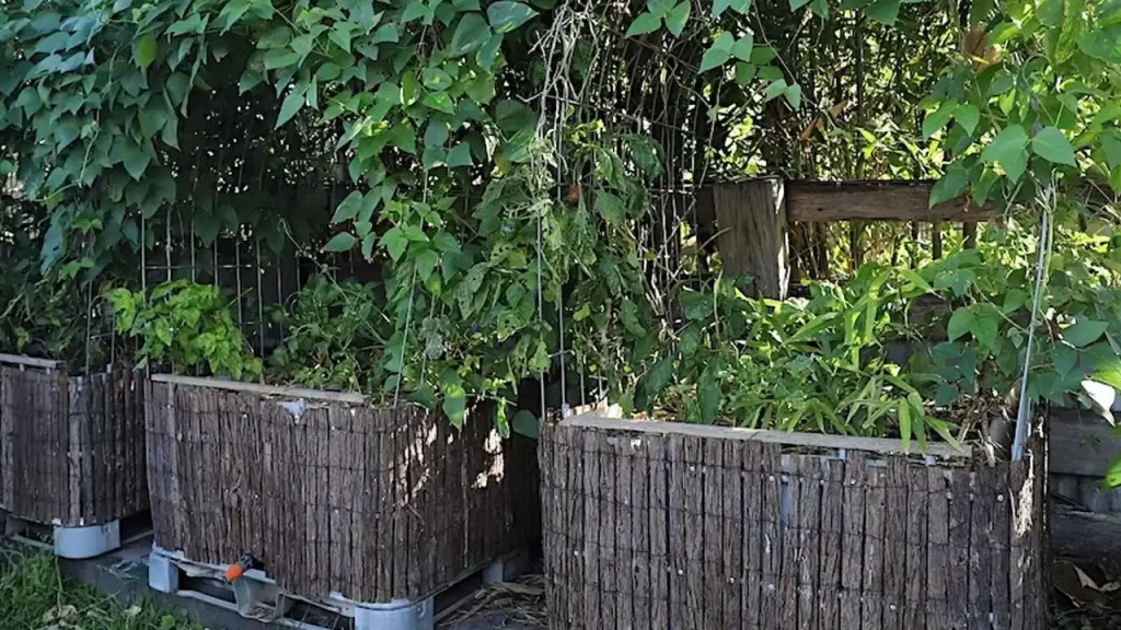 Waterwise Gardens – FREE Community Workshop - Hawkesbury Residents ...