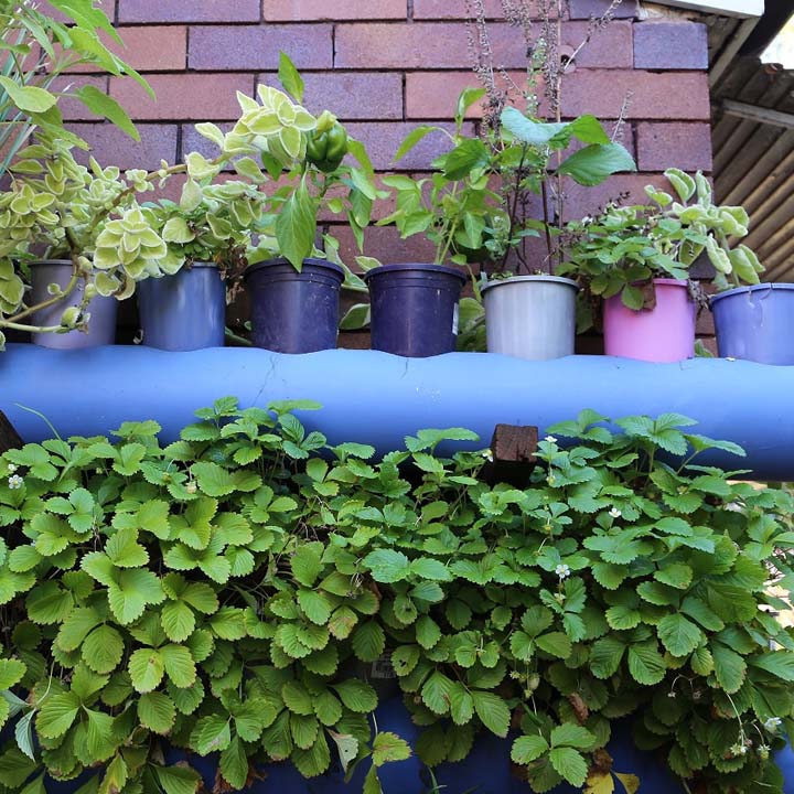 Waterwise Gardens - Hawkesbury Living Sustainably - Galston, Glenorie ...