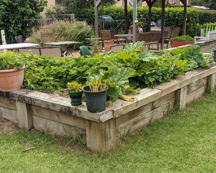 Riverstone Community Garden - Galston, Glenorie & Hills Rural Community ...