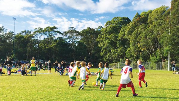 Hills Hawks 2023 Season