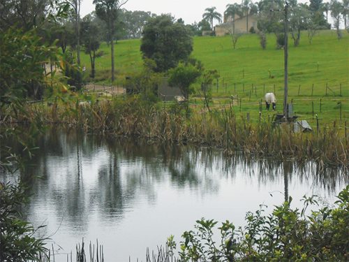 Farm Dams For Stock And Wildlife